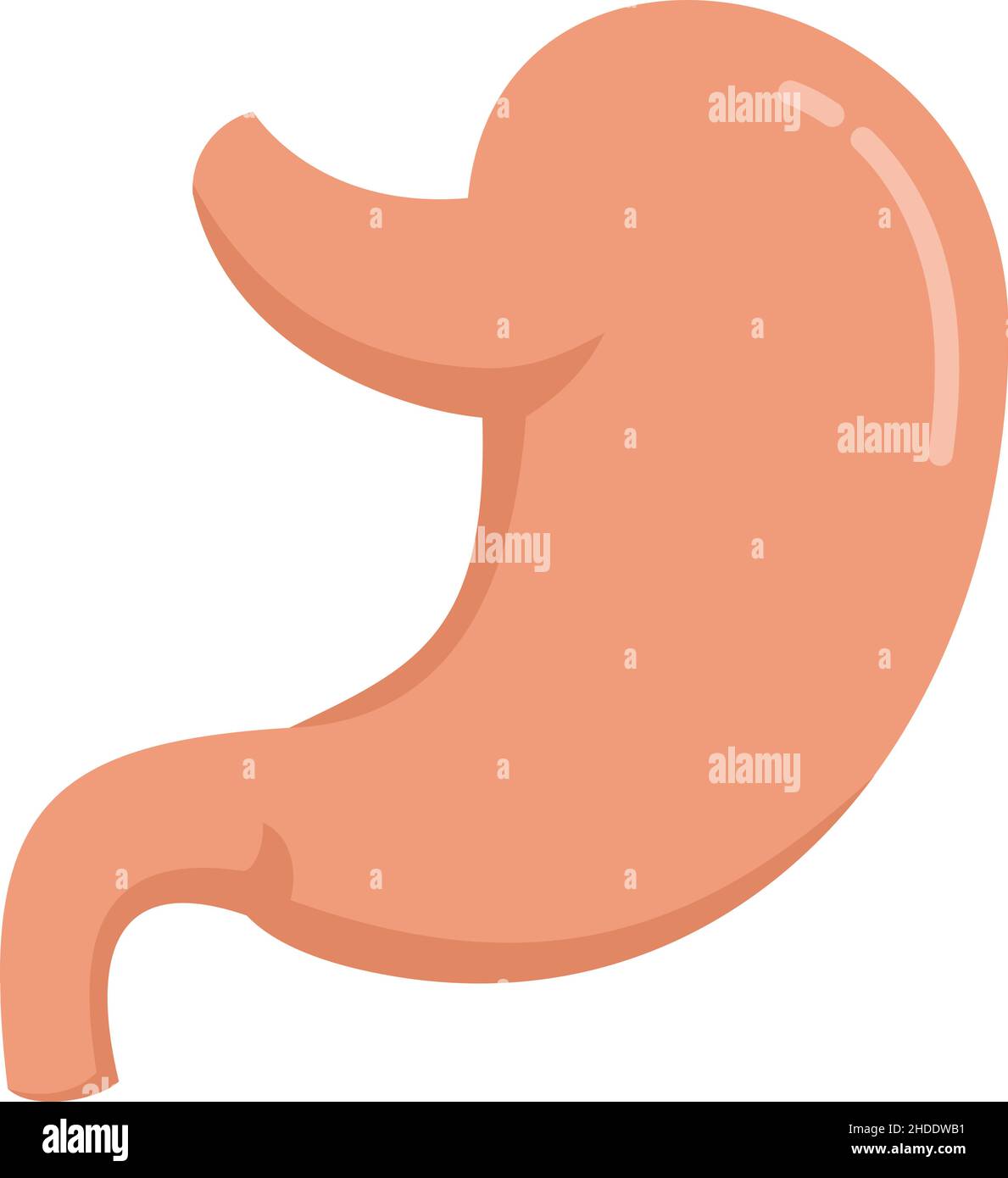 Healthy stomach icon. Flat illustration of Healthy stomach vector icon ...