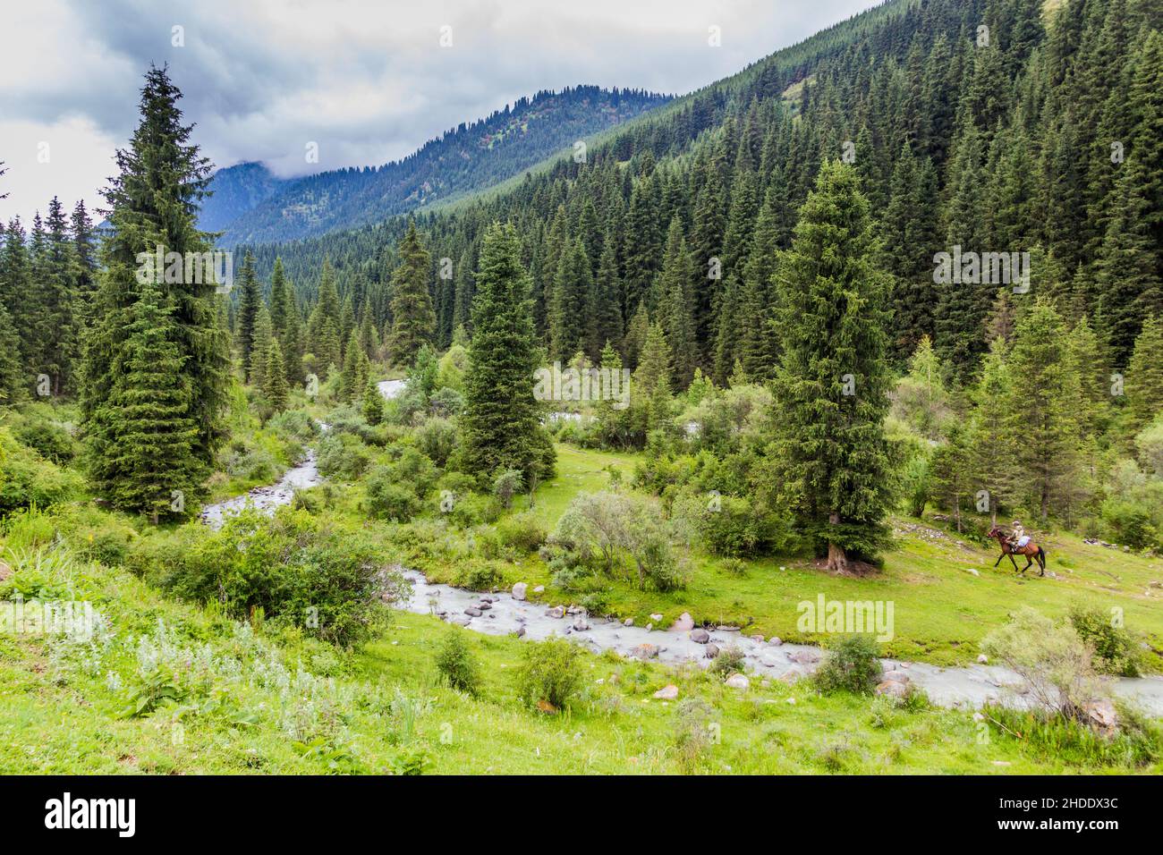 Karakol river valley in Kyrgyzstan Stock Photo - Alamy