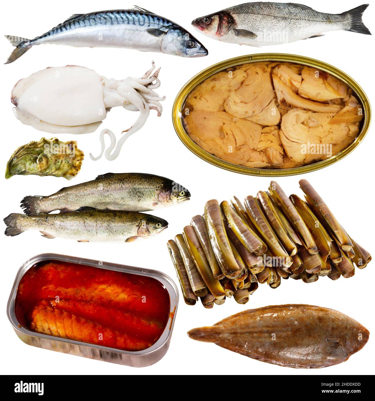 Set of assorted raw fish and seafoods Stock Photo - Alamy