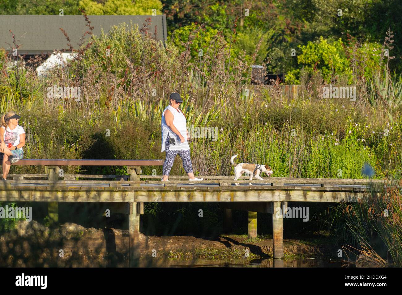 Tauranga new zealand - December 20 2021; woman sits relaxing as another ...