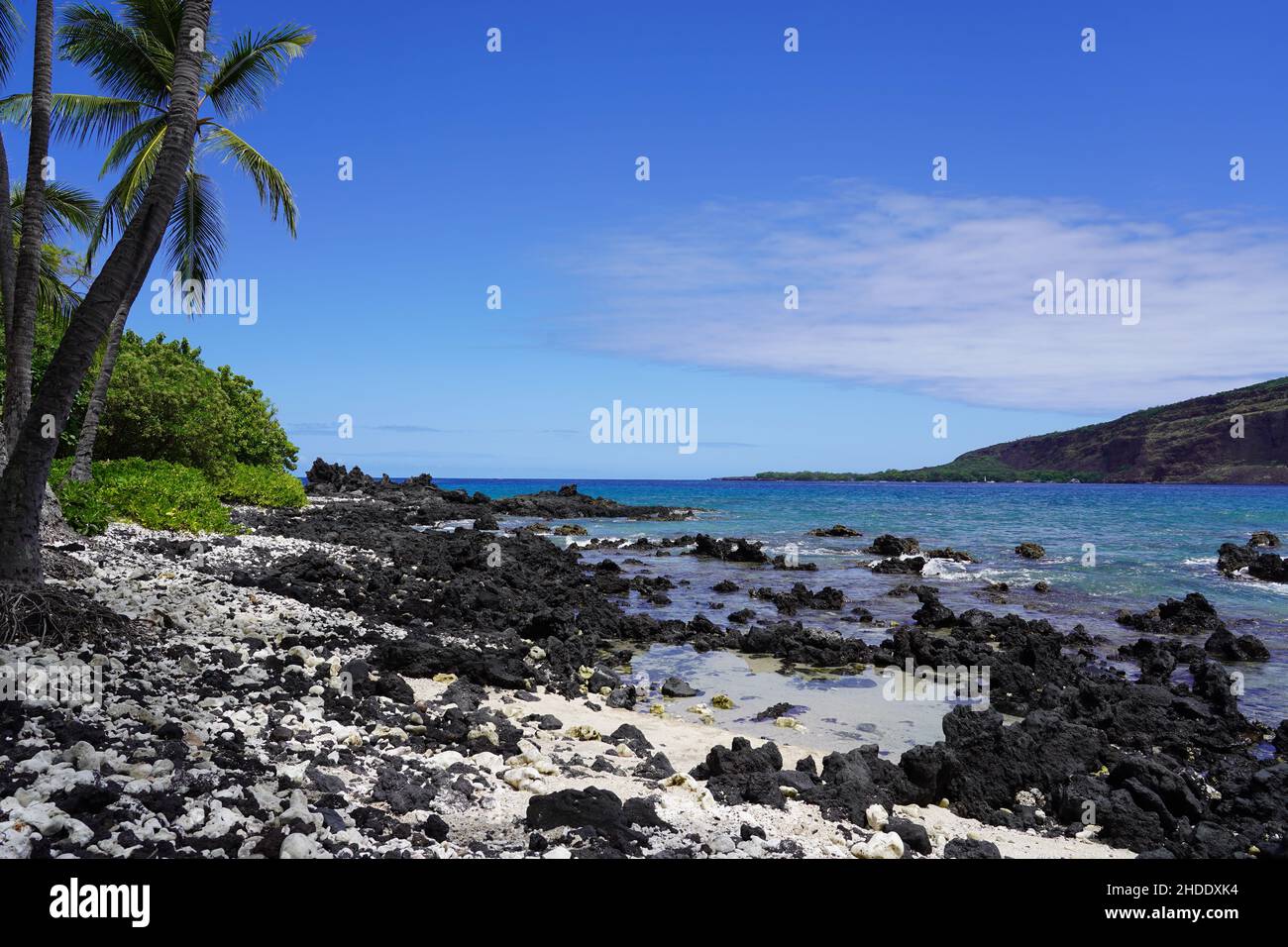 The Manini Beach in the Kealakekua Bay in Big Island, Hawaii Stock ...