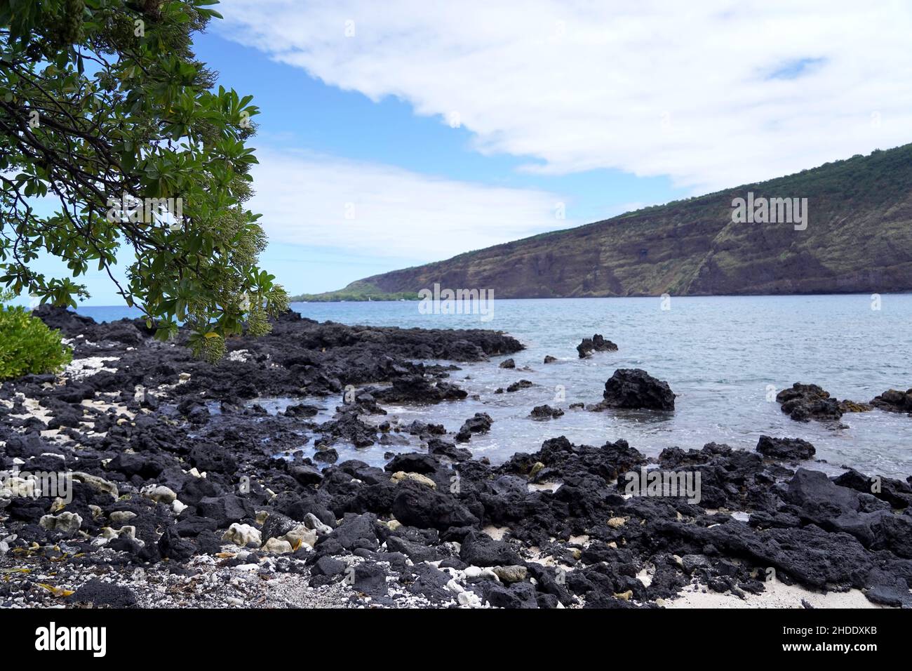 The Manini Beach in the Kealakekua Bay in Big Island, Hawaii Stock ...