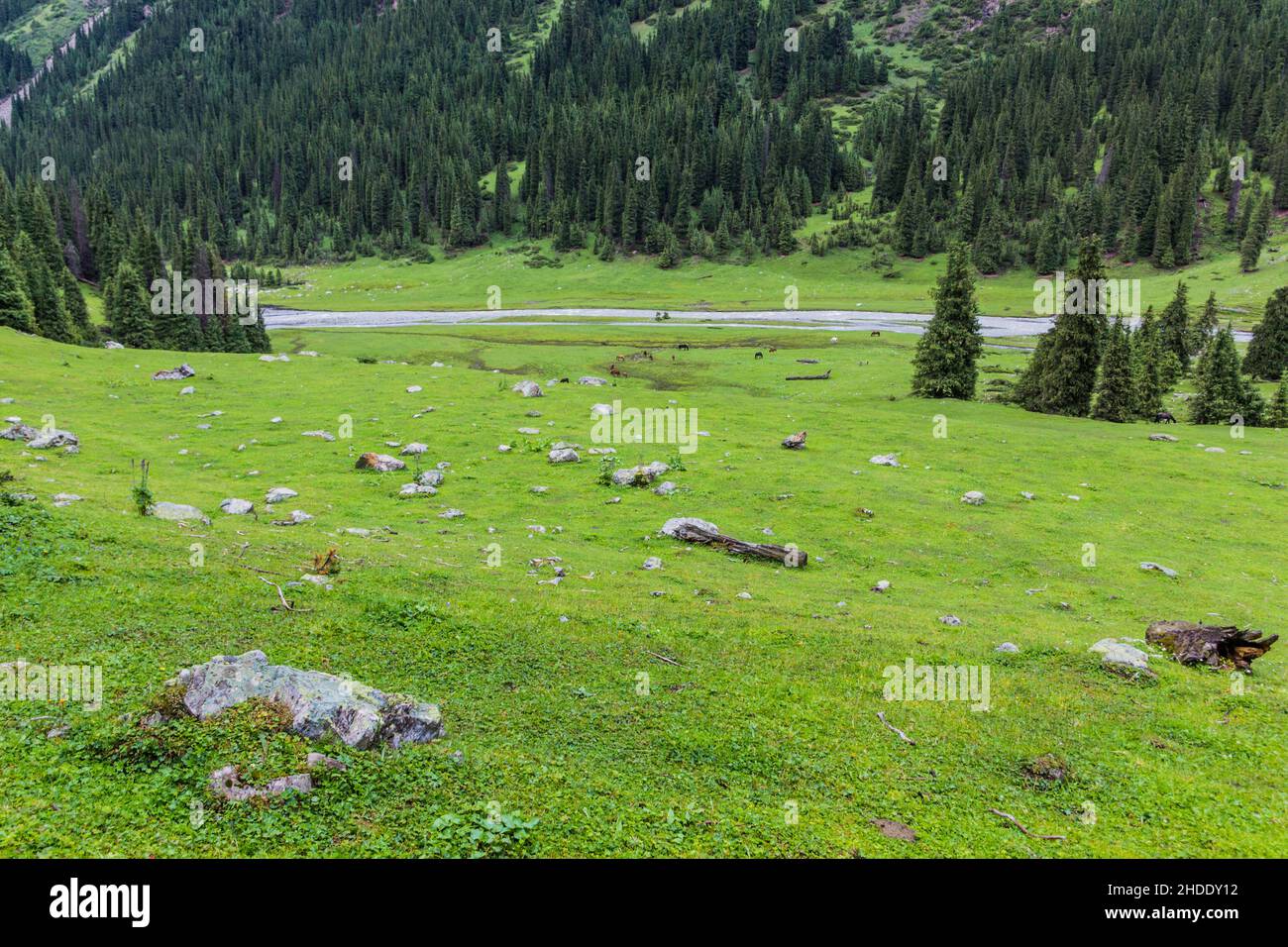 Trek to altyn arashan hi-res stock photography and images - Alamy