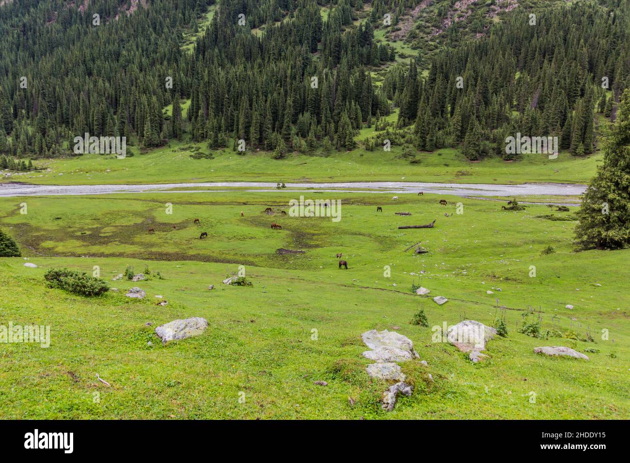 Trek to altyn arashan hi-res stock photography and images - Alamy