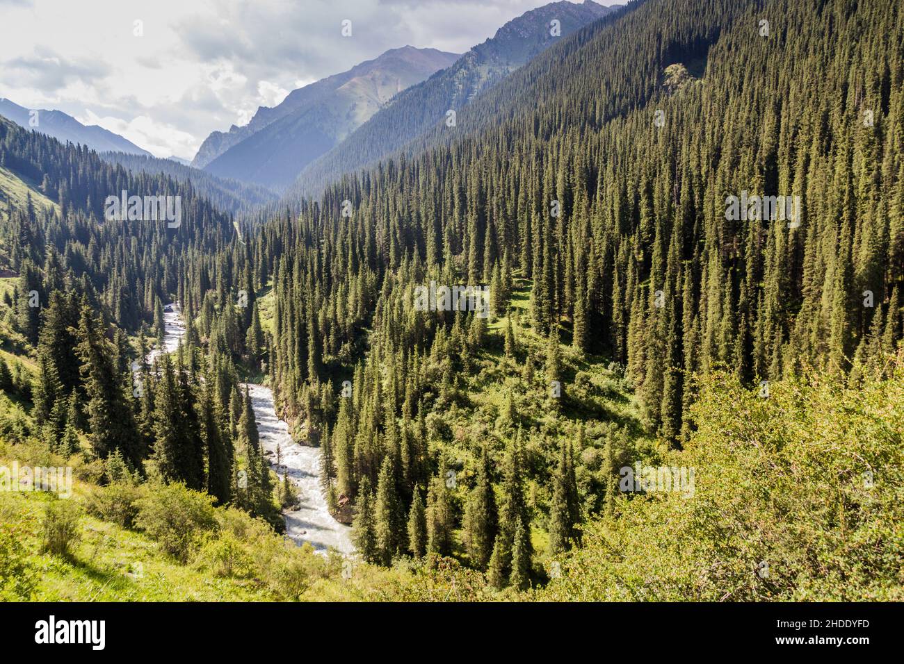 Arashan hi-res stock photography and images - Alamy