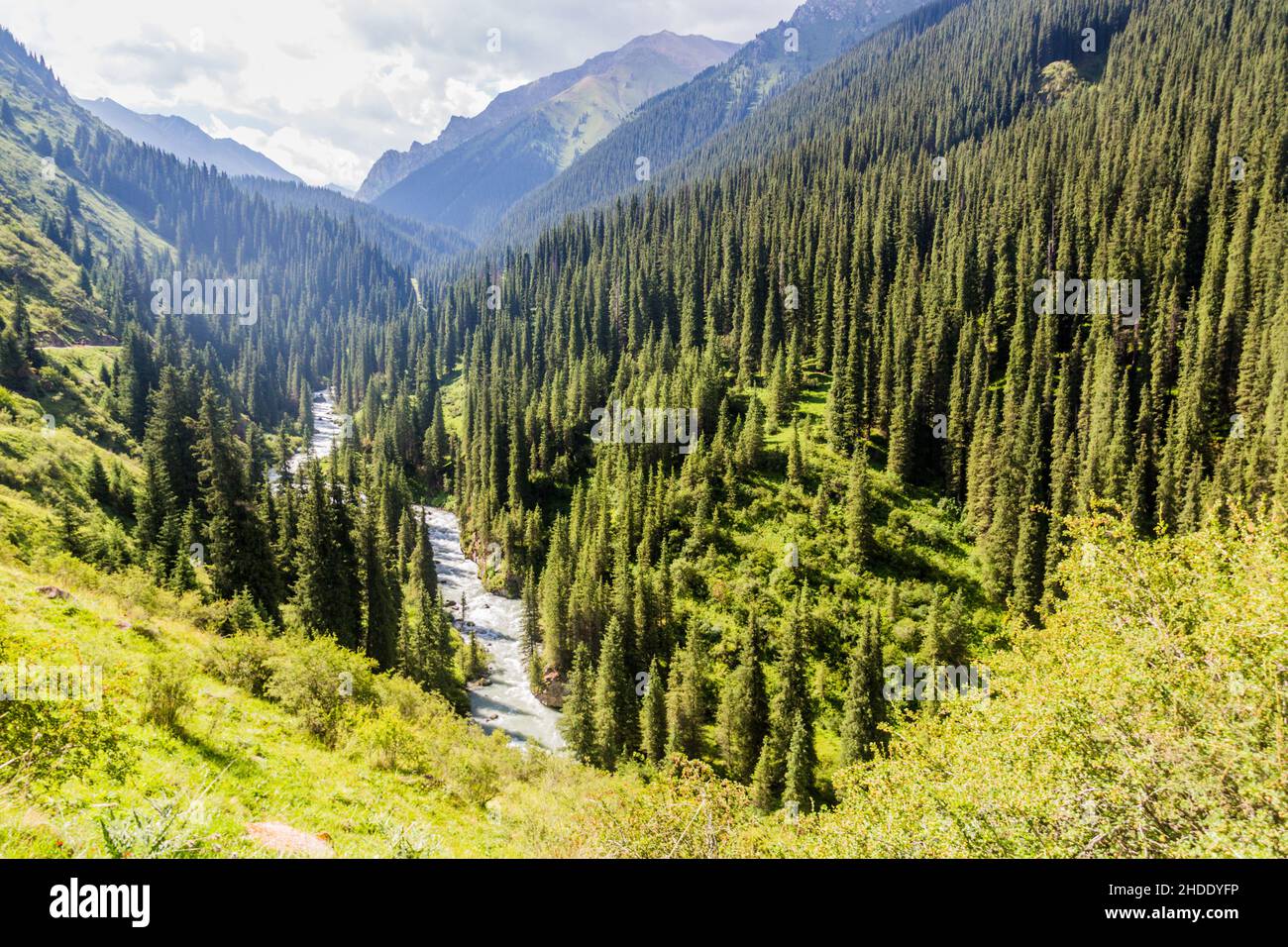 Arashan river valley in Kyrgyzstan Stock Photo - Alamy