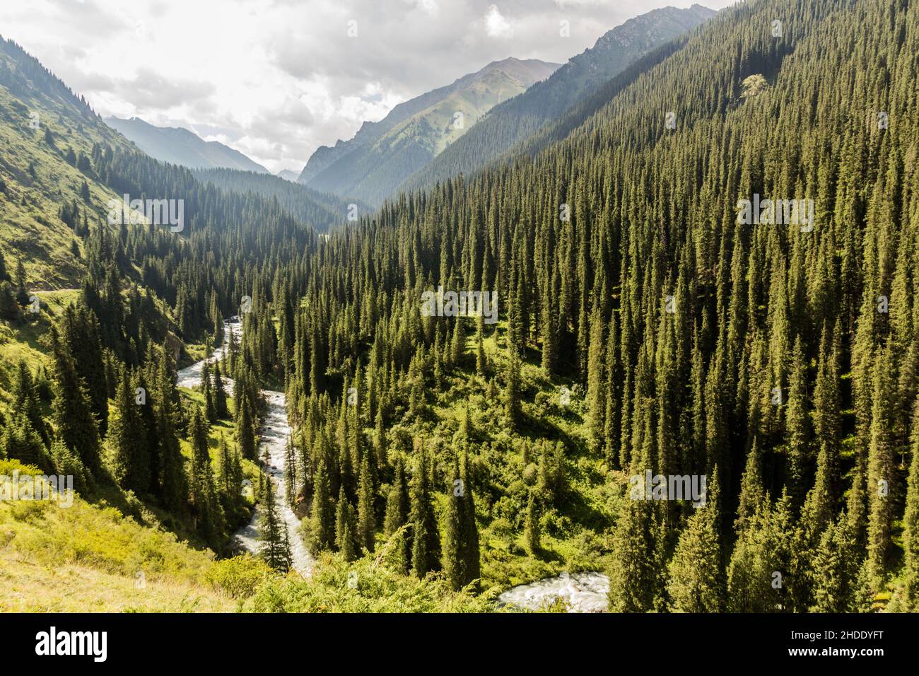 Arashan river valley in Kyrgyzstan Stock Photo - Alamy