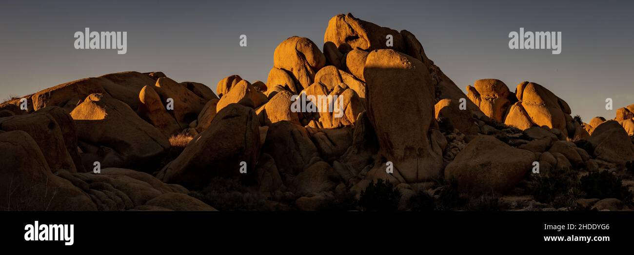 Panorama of Morning Light Along The Split Rock Loop Trail In Joshua ...