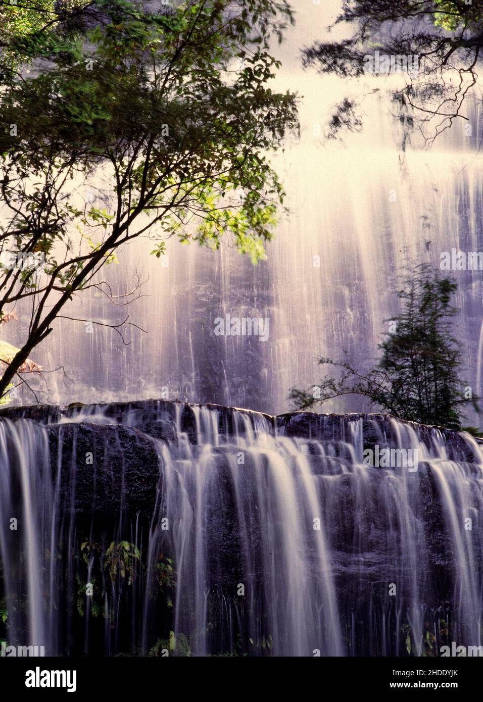 Mount field national park australia hi-res stock photography and images ...