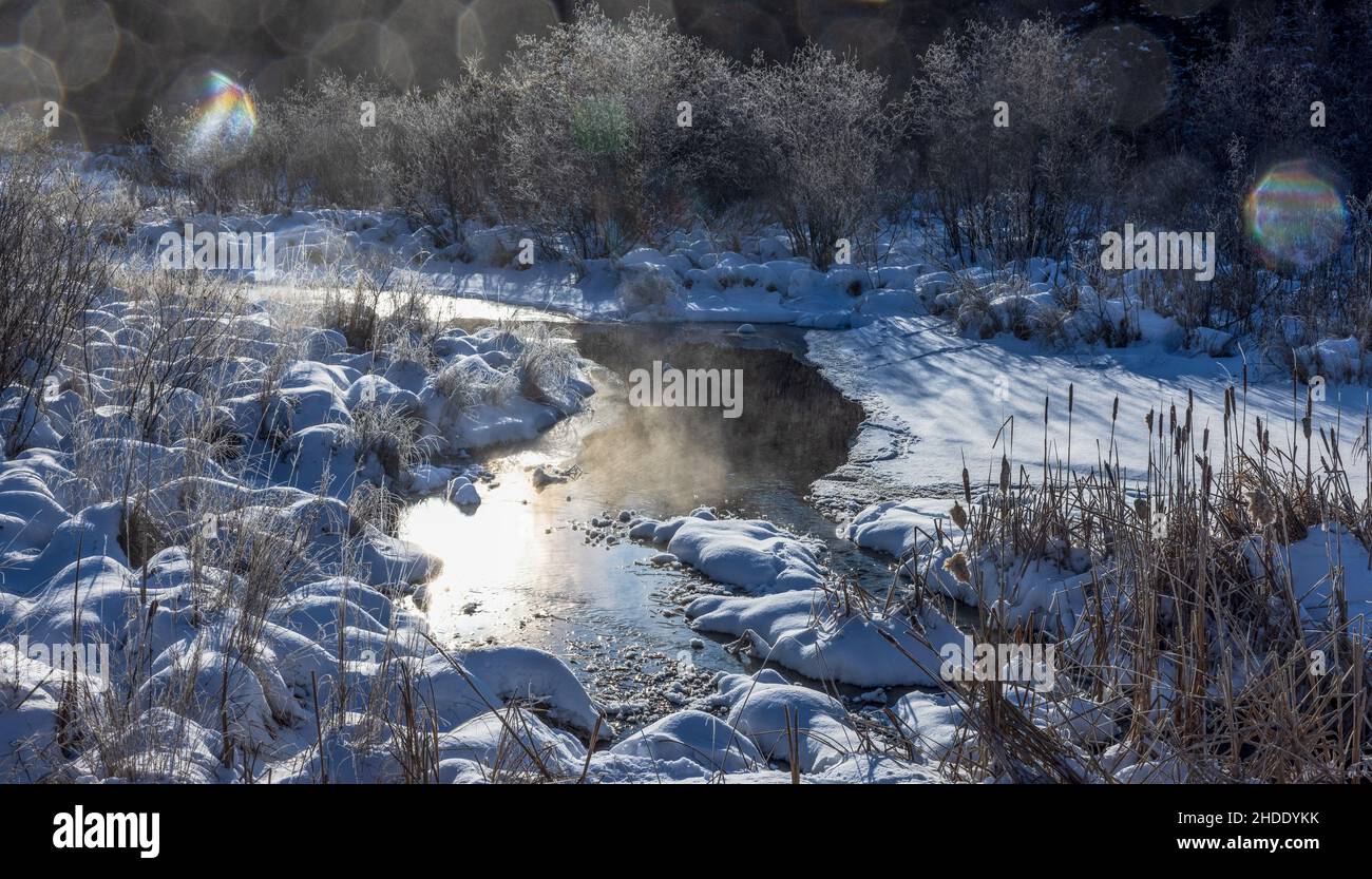 Morning mist rising from a wetland in northern Wisconsin Stock Photo ...