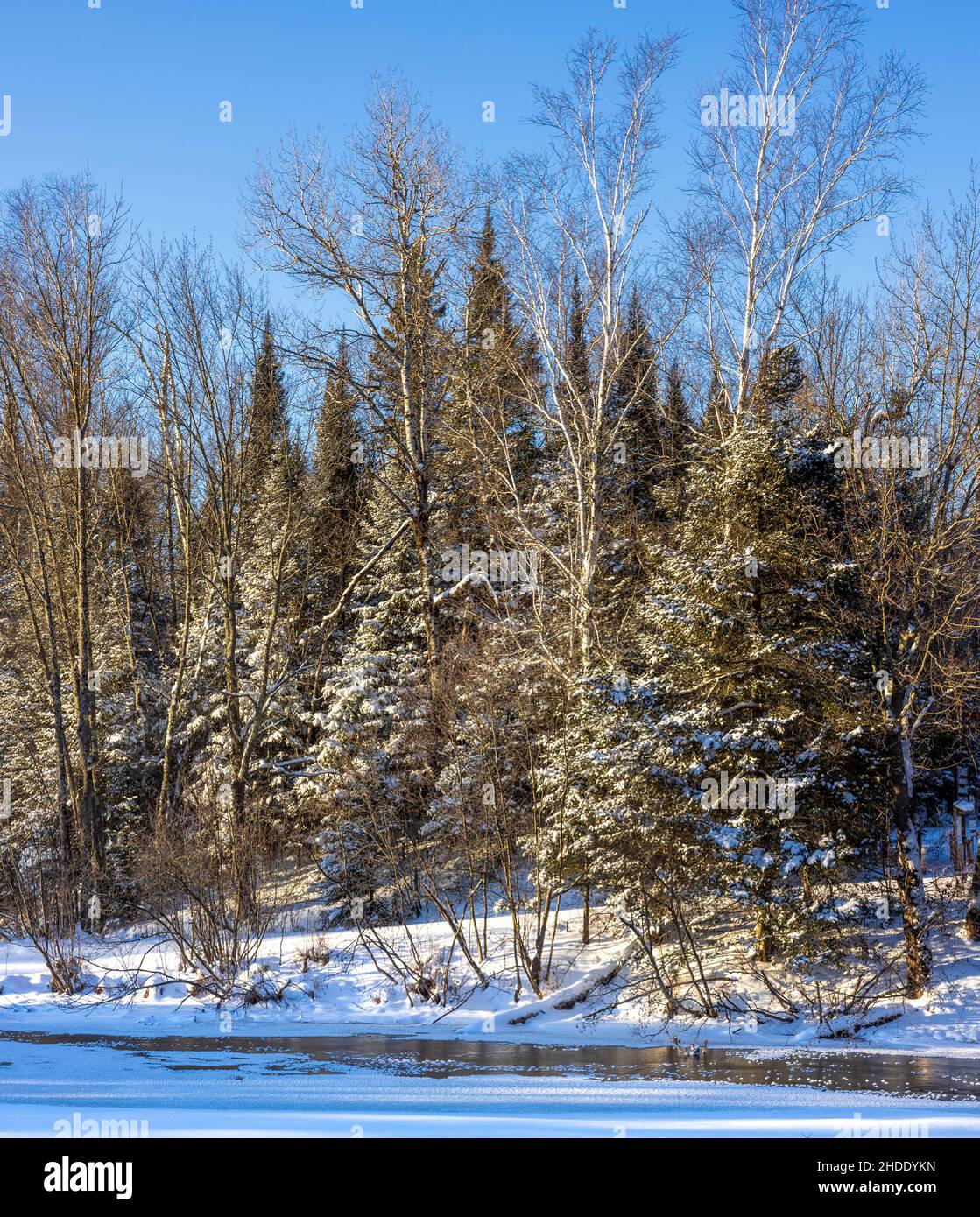 Soothing mud hi-res stock photography and images - Alamy