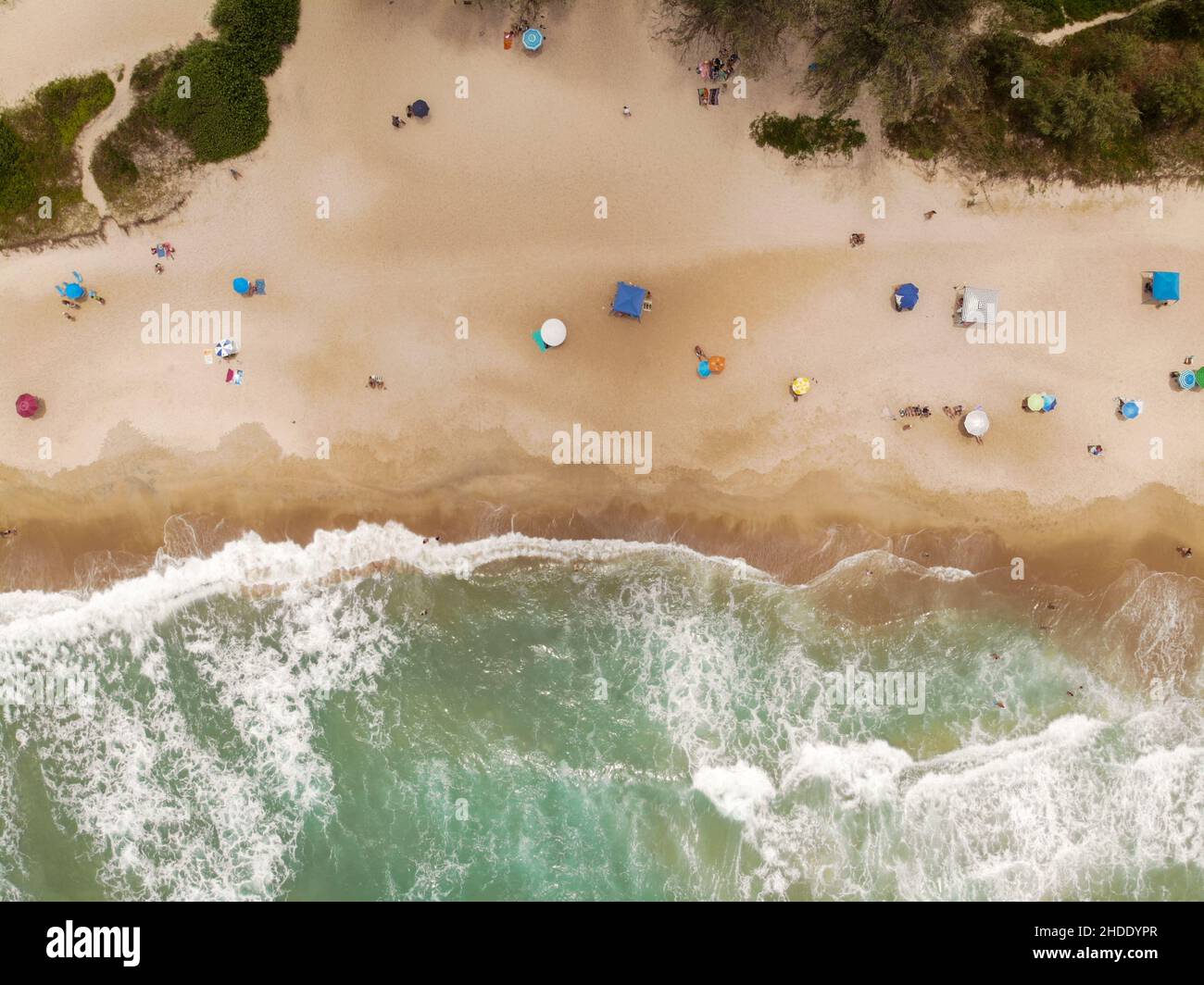 Praia do Moçambique Florianópolis Santa Catarina Stock Photo - Alamy