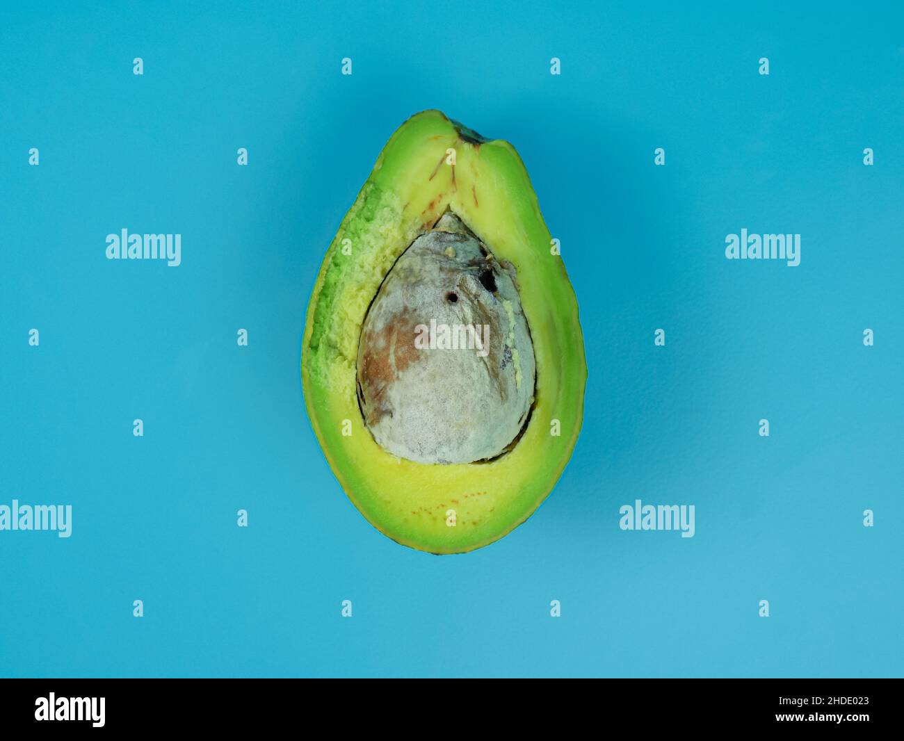 Avocado composition whole fruit hi-res stock photography and images - Alamy