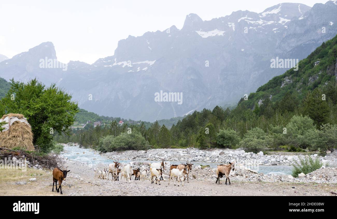 Establishing shot of the beautiful alpine mountains of Albania with ...