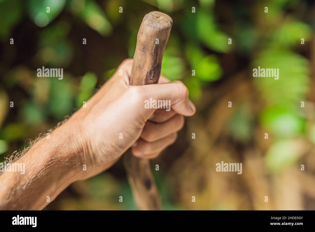 Tracking stick hi-res stock photography and images - Alamy