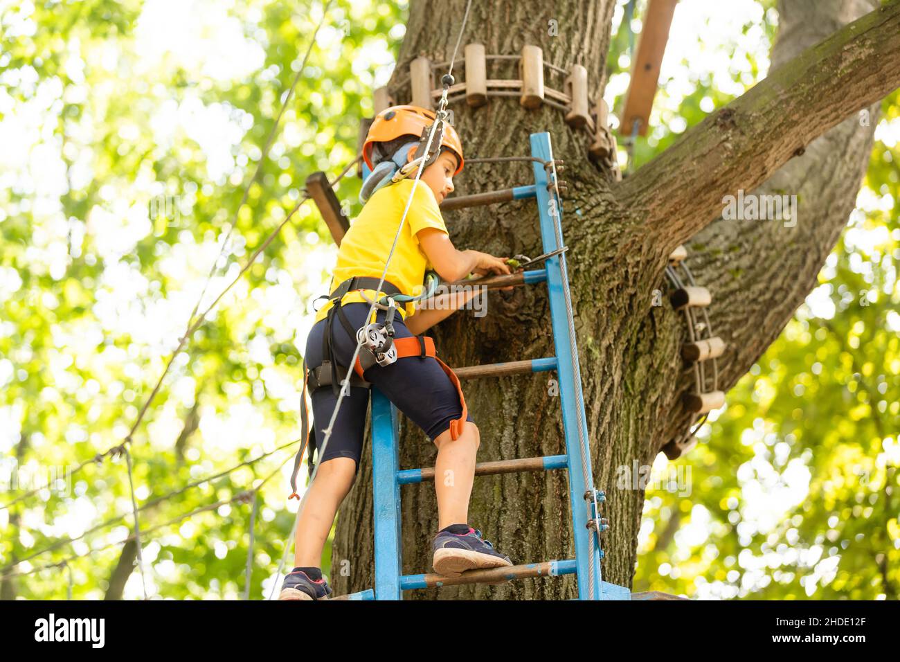 Happy child climbing in the trees. Rope park. Climber child. Early ...