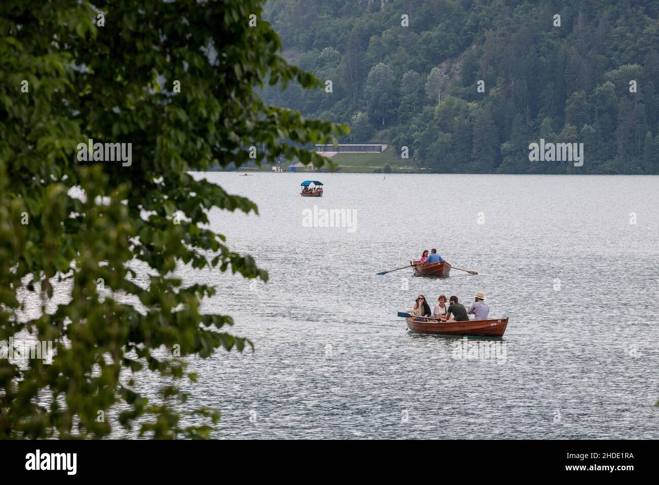Picture of the bled lake with people, friends, on rowing boats, in Bled ...