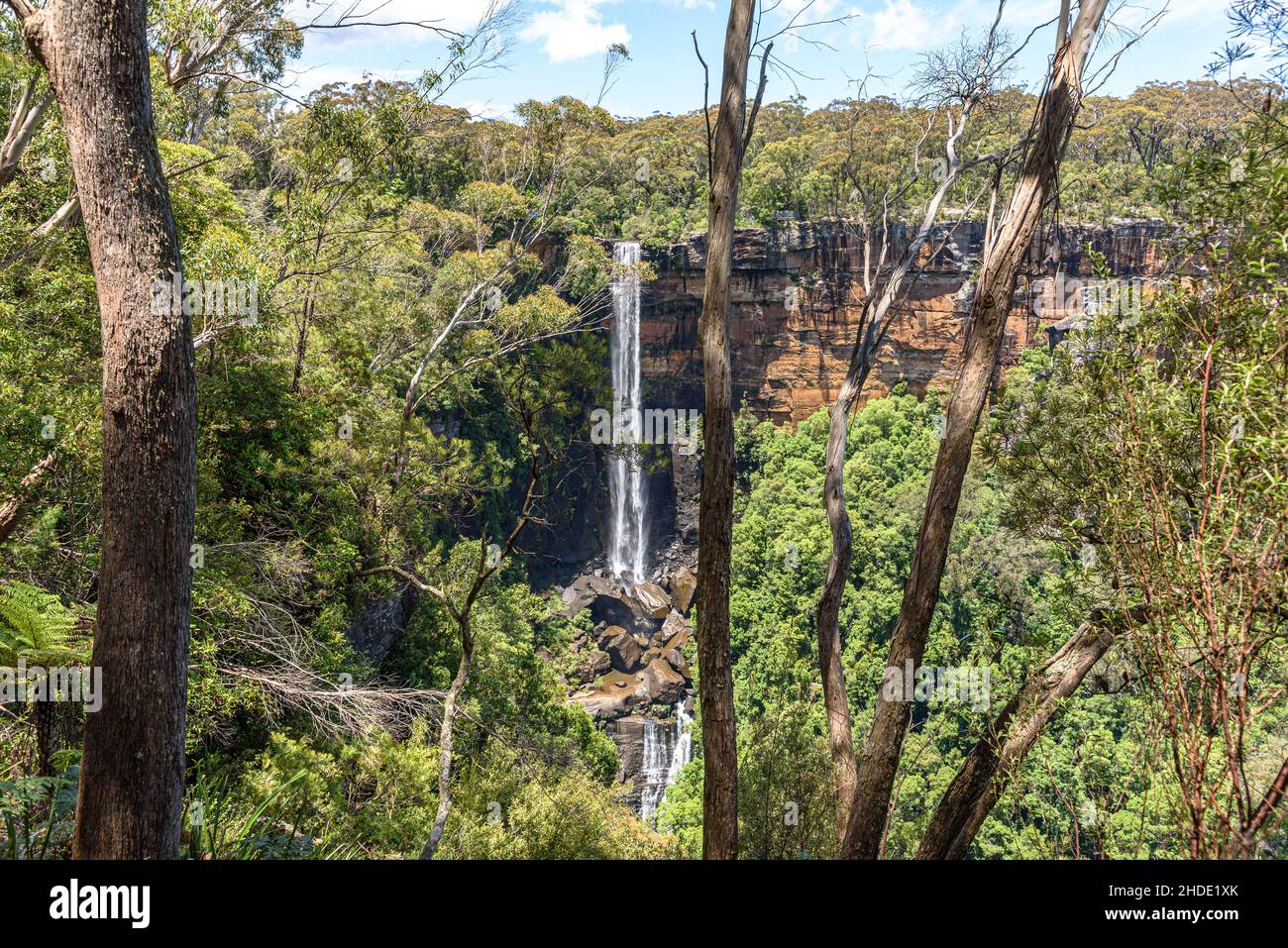 Fitzroy falls in national park hi-res stock photography and images - Alamy