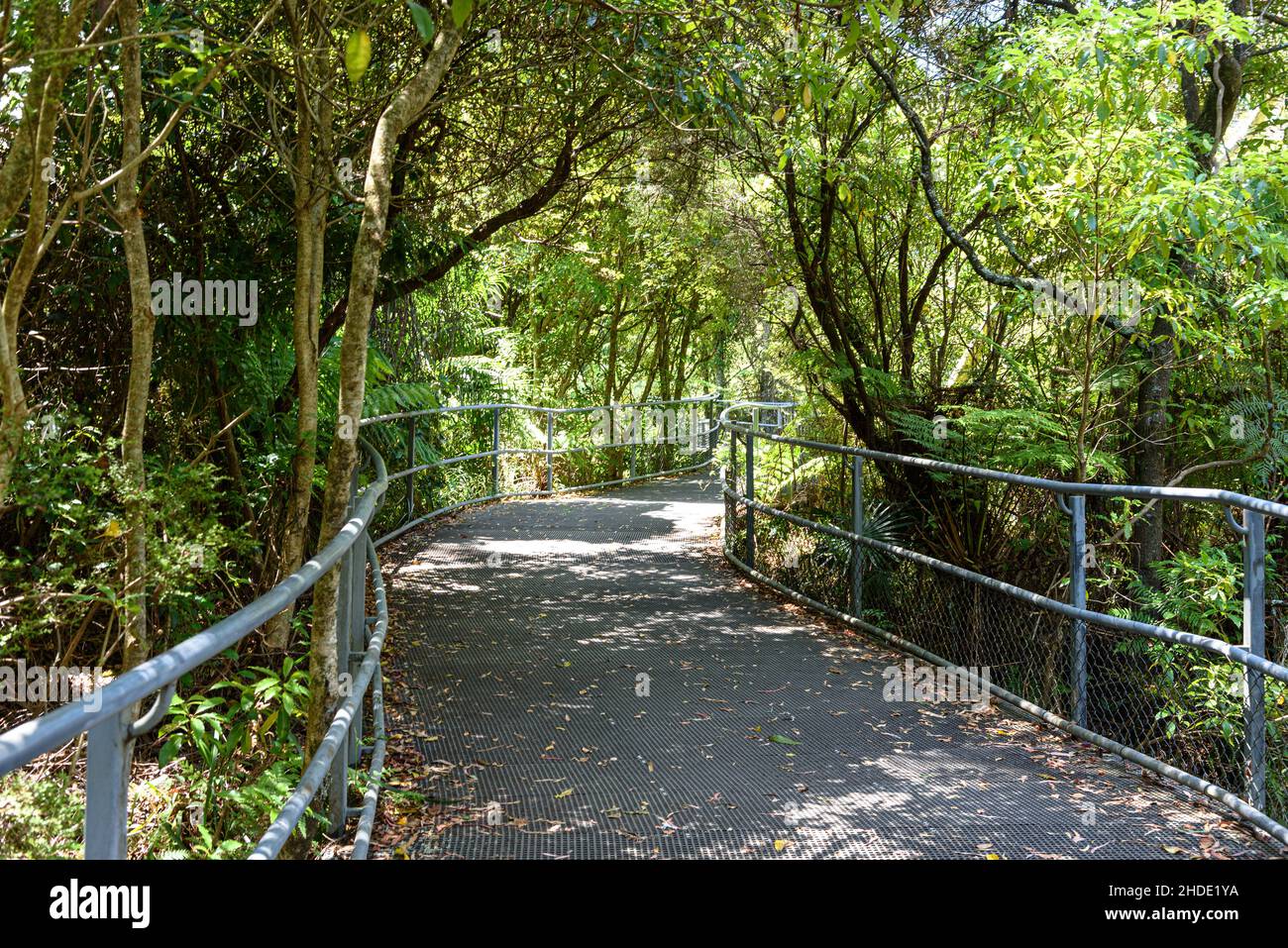 The walking path at Fitzroy Falls Stock Photo - Alamy