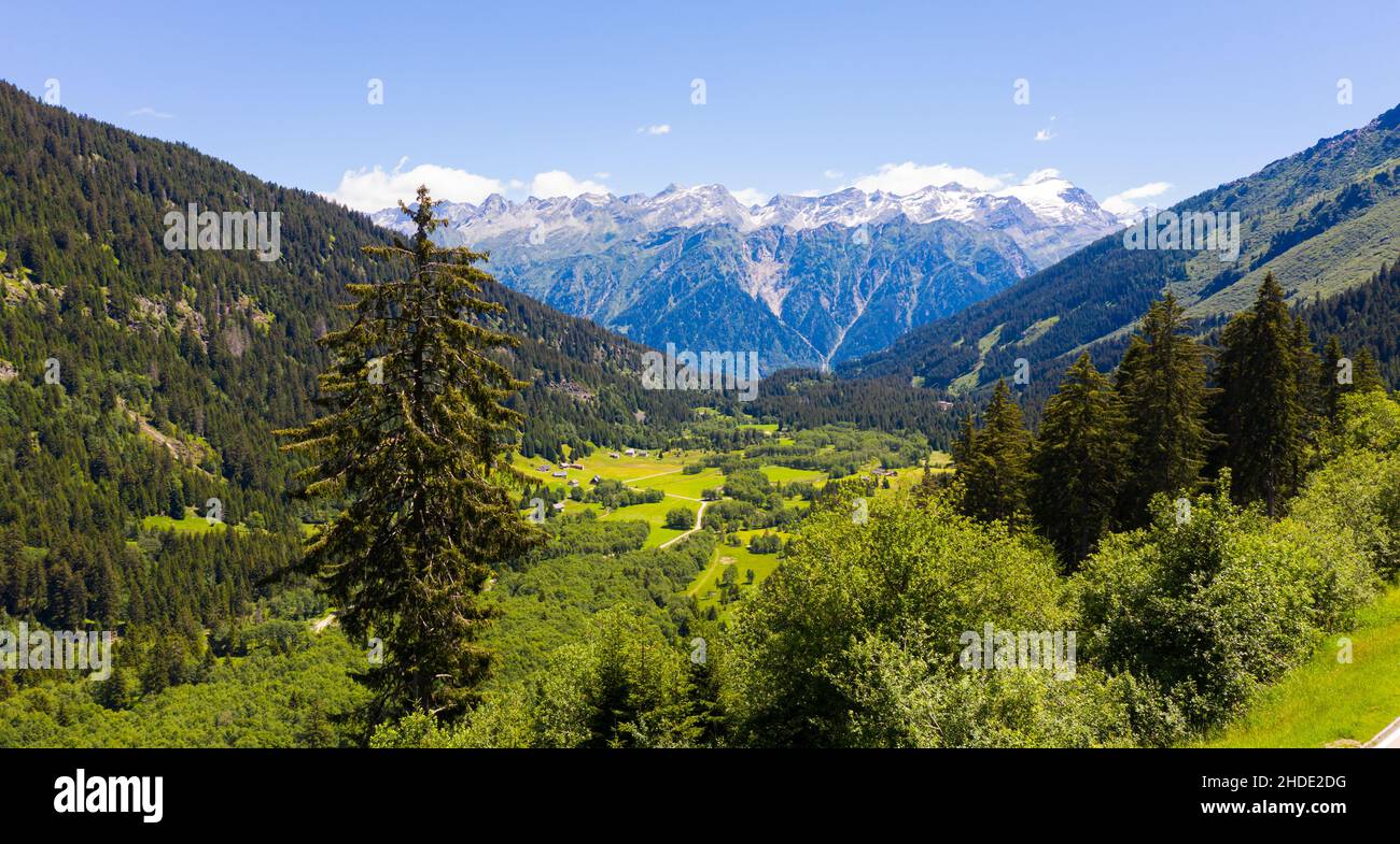 Summer Alpine landscape in Swiss canton of Grisons Stock Photo - Alamy