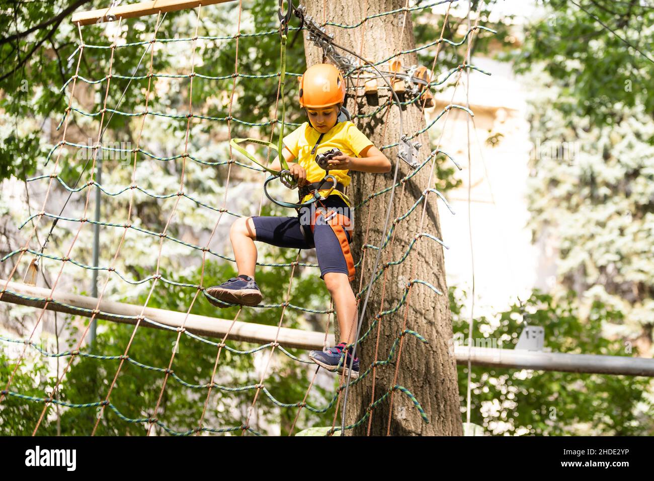 Happy child climbing in the trees. Rope park. Climber child. Early ...