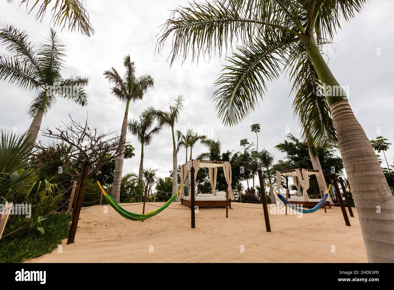 view of nice straw hammock on the tropic beach Stock Photo - Alamy