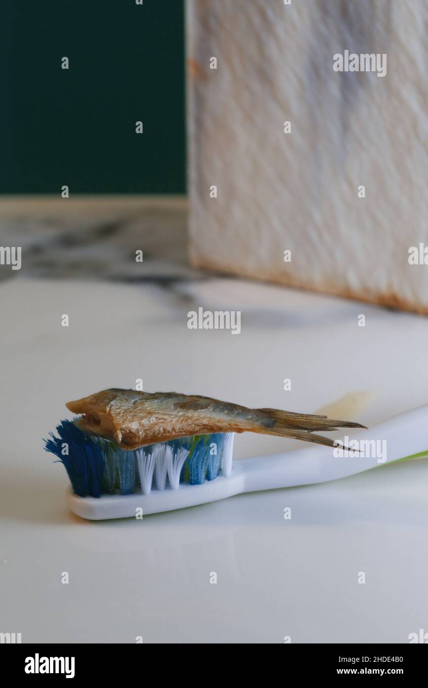 Brush teeth disgusting hi-res stock photography and images - Alamy