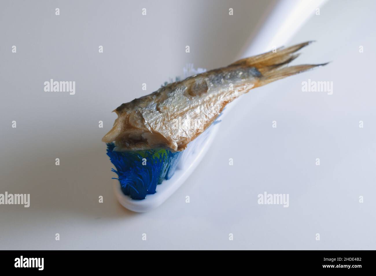 Brush teeth disgusting hi-res stock photography and images - Alamy