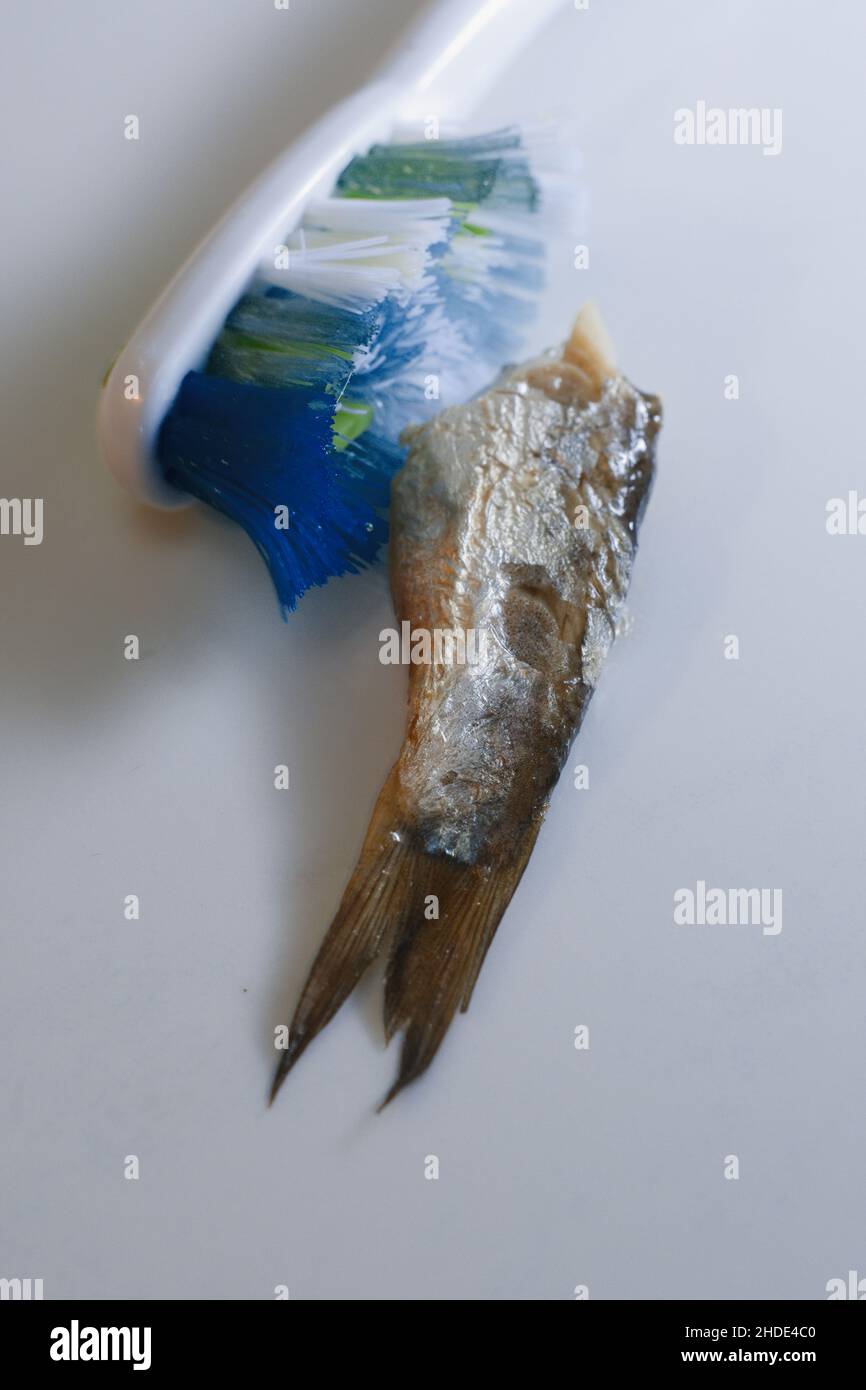 Brush teeth disgusting hi-res stock photography and images - Alamy