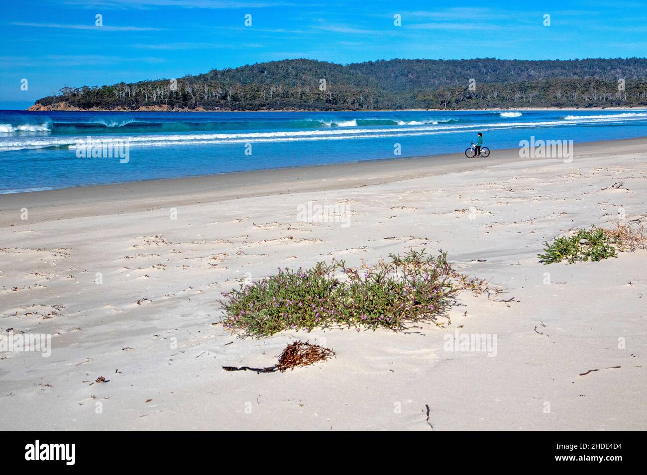 Maria bay hi-res stock photography and images - Alamy