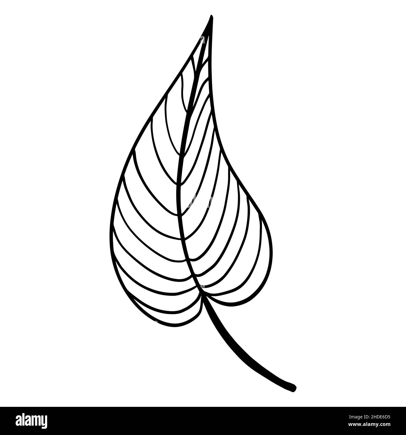 Striped tree leaf isolated vector illustration Stock Vector Image & Art ...