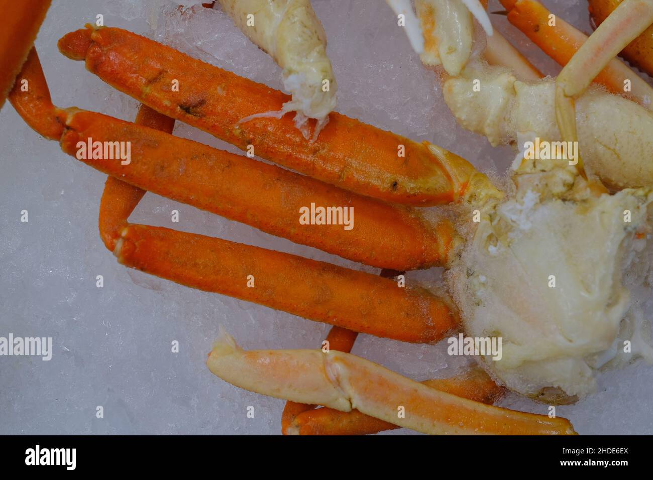 Large fresh seafood crab legs chilling on ice Stock Photo - Alamy