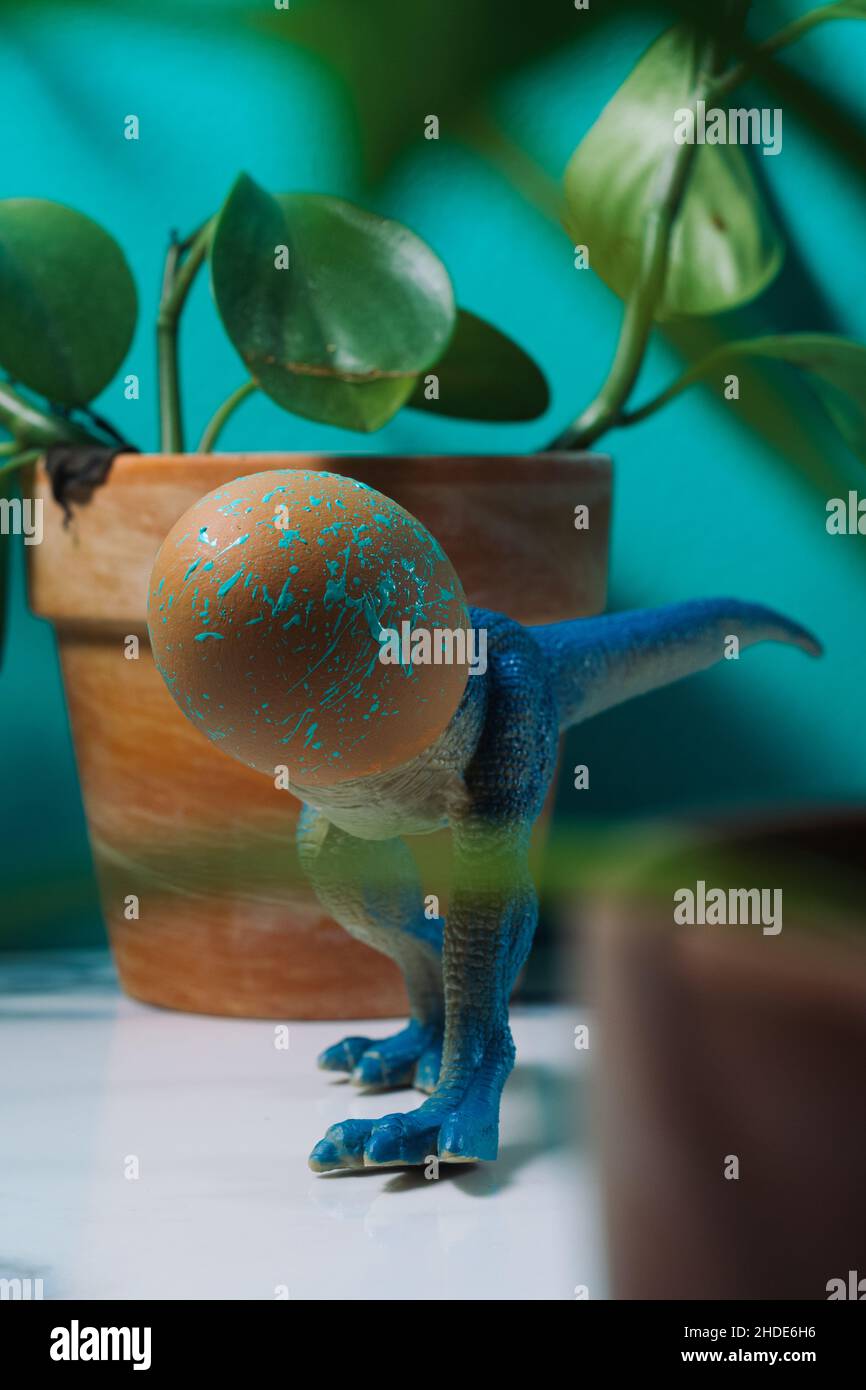 Dinosaur hatching from egg hi-res stock photography and images - Alamy