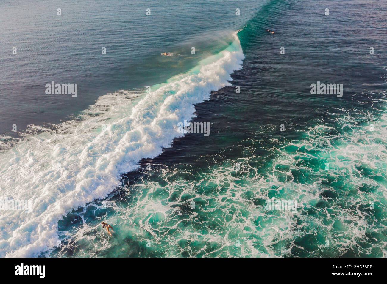 Surfers on the waves in the ocean, top view Stock Photo - Alamy