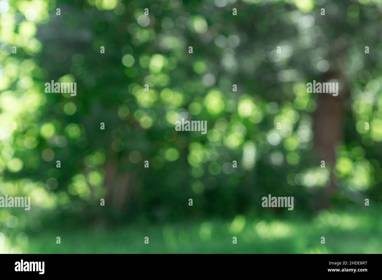 Slightly texture hi-res stock photography and images - Alamy