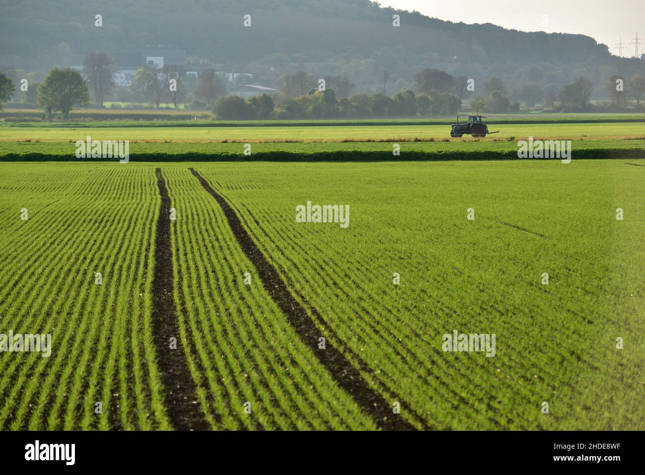 Autumn in Deister ,Germany Stock Photo - Alamy