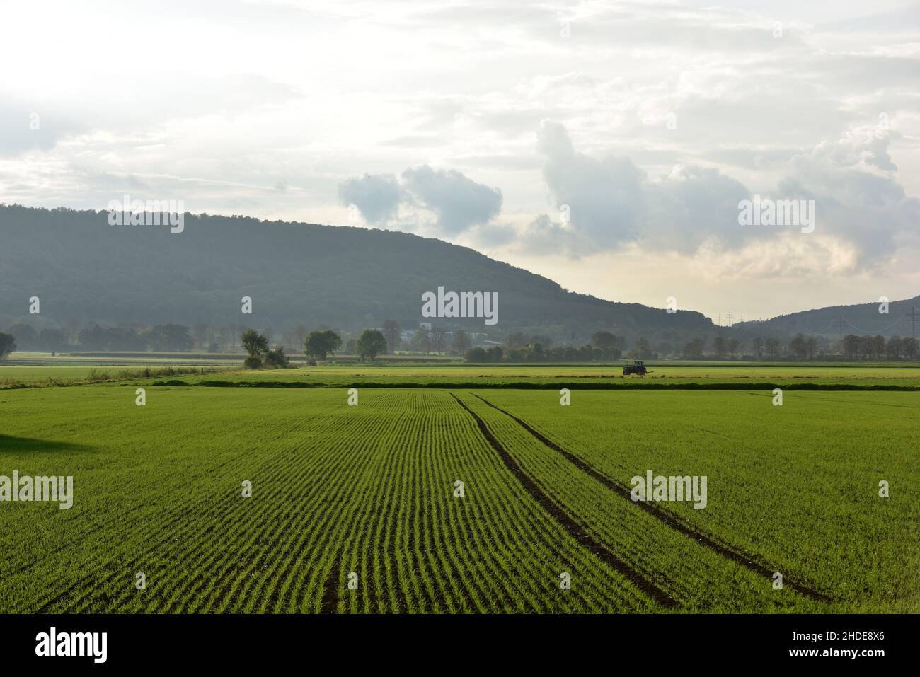 Autumn in Deister ,Germany Stock Photo - Alamy