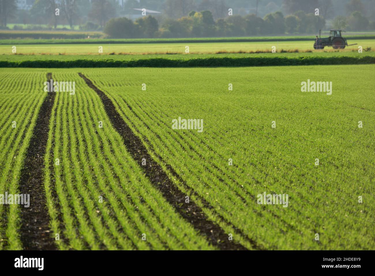 Autumn in Deister ,Germany Stock Photo - Alamy