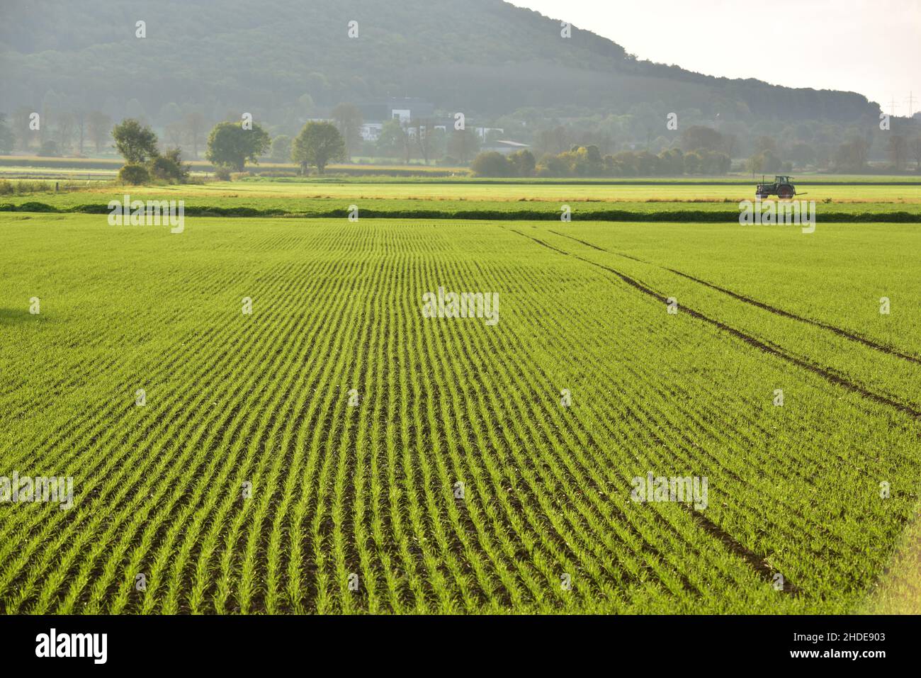 Autumn in Deister ,Germany Stock Photo - Alamy