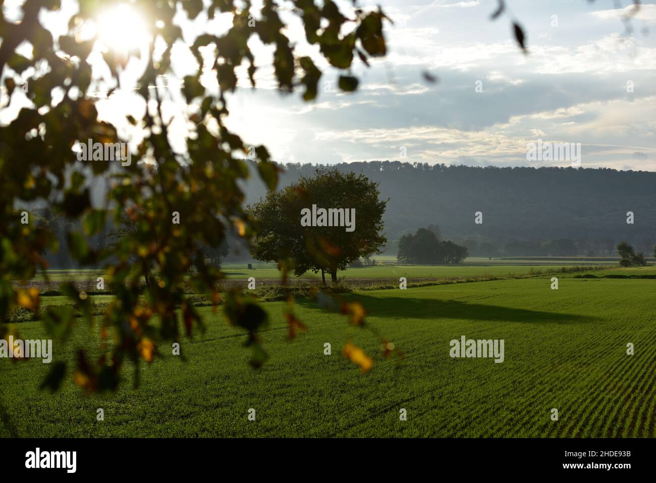 Autumn in Deister ,Germany Stock Photo - Alamy