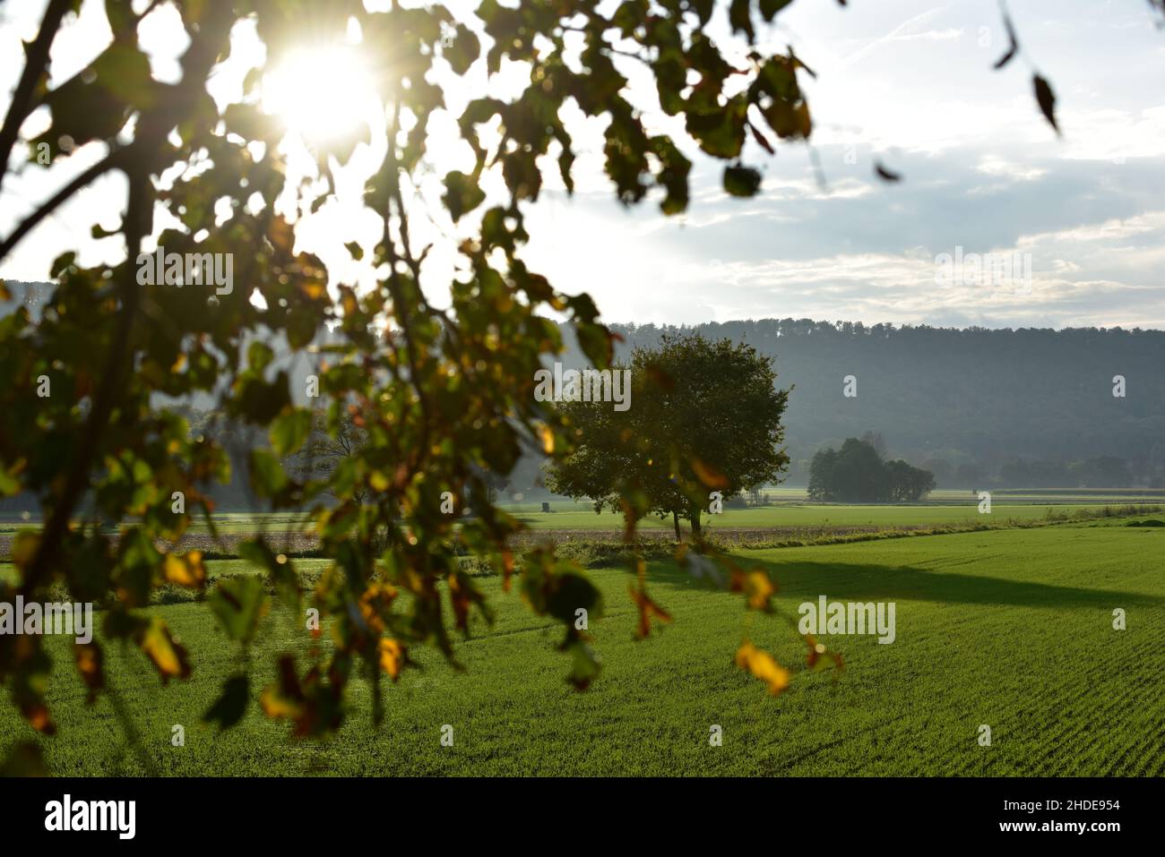 Autumn in Deister ,Germany Stock Photo - Alamy
