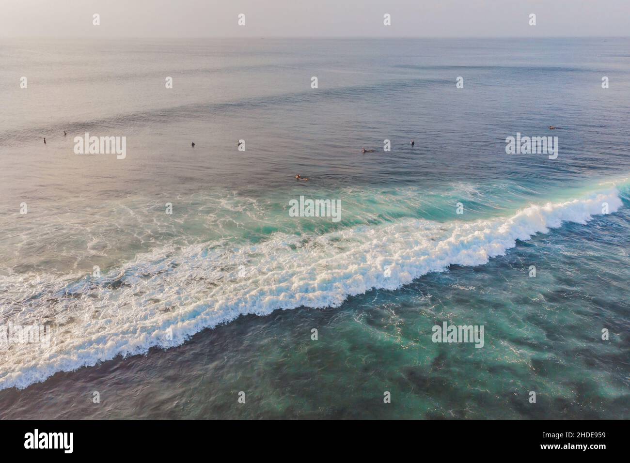 Surfers on the waves in the ocean, top view Stock Photo - Alamy
