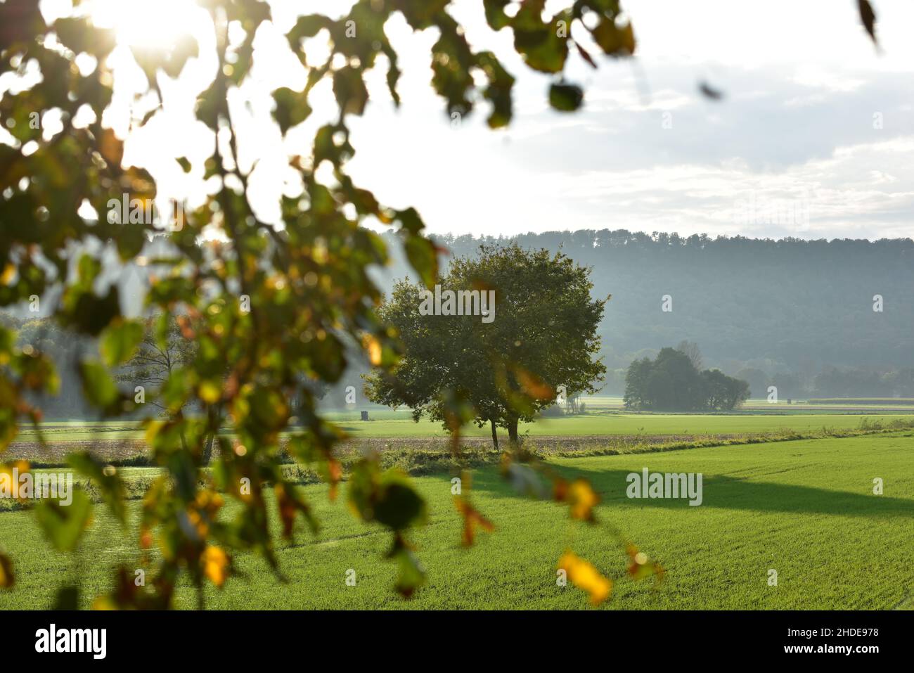 Autumn in Deister ,Germany Stock Photo - Alamy