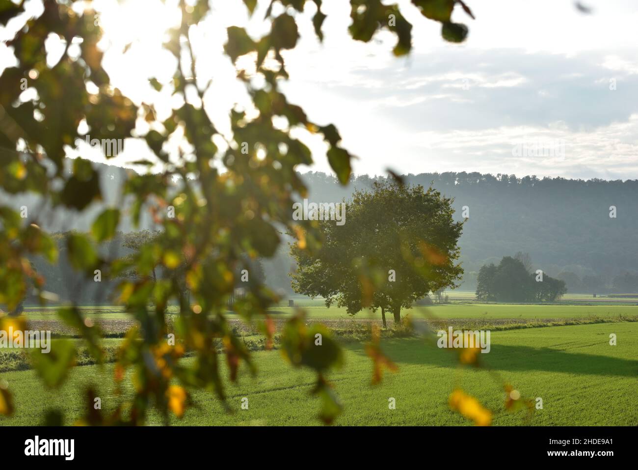 Autumn in Deister ,Germany Stock Photo - Alamy