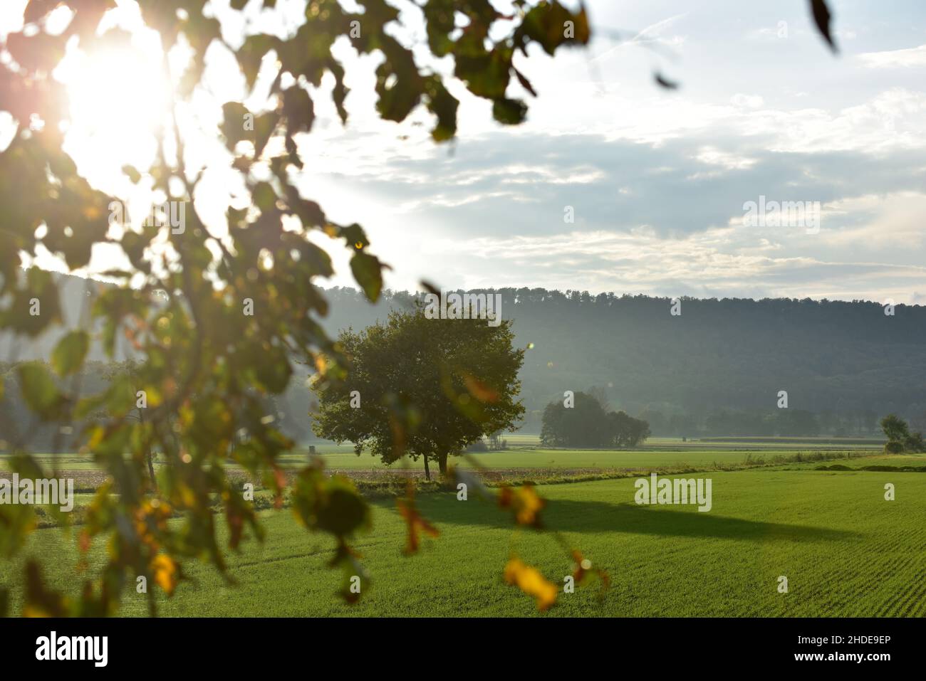 Autumn in Deister ,Germany Stock Photo - Alamy