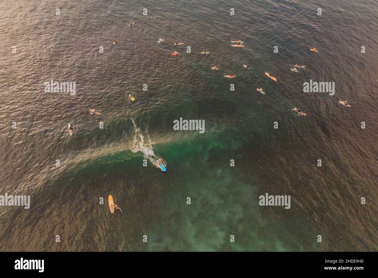Surfers on the waves in the ocean, top view Stock Photo - Alamy