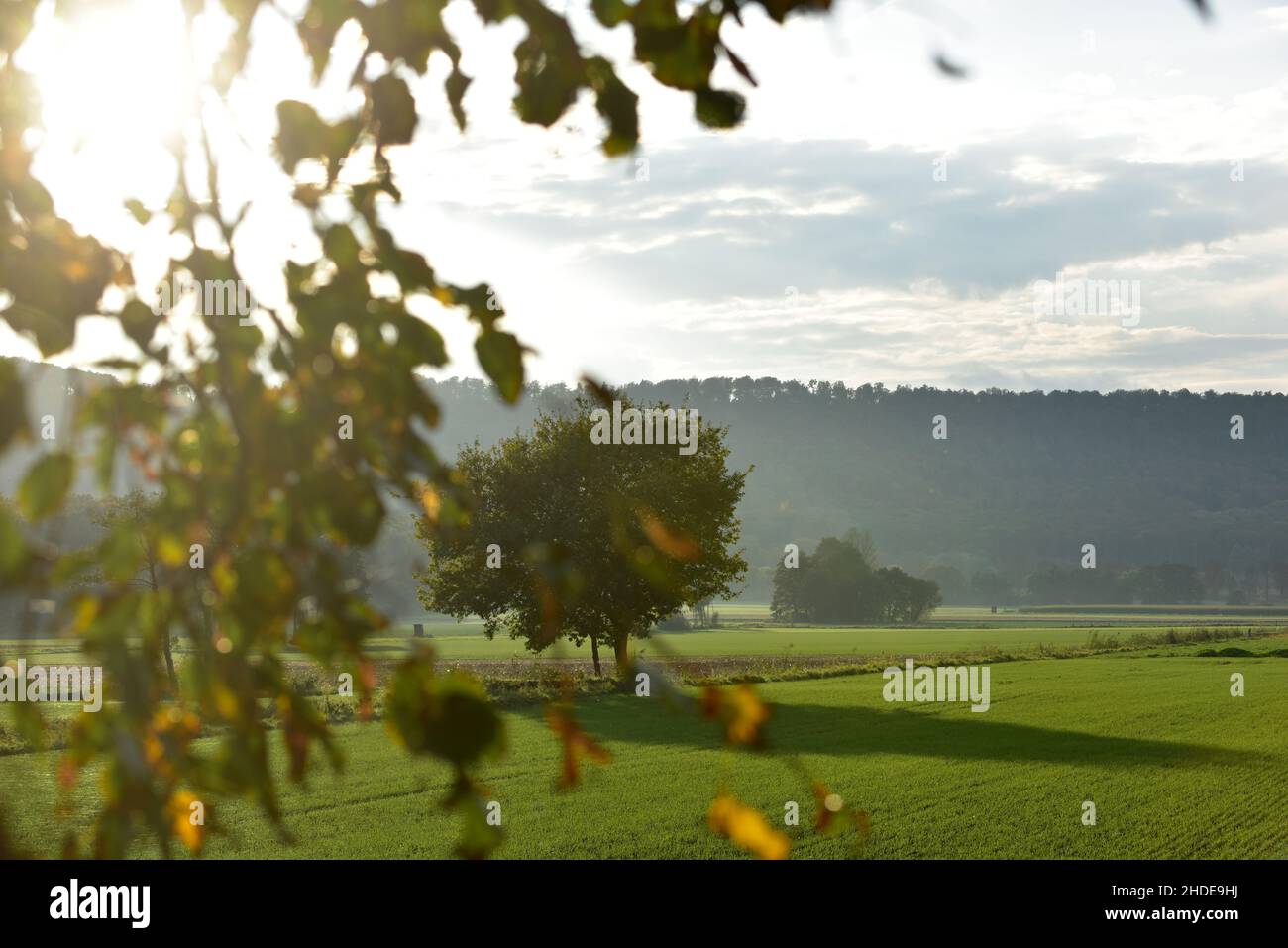 Autumn in Deister ,Germany Stock Photo - Alamy