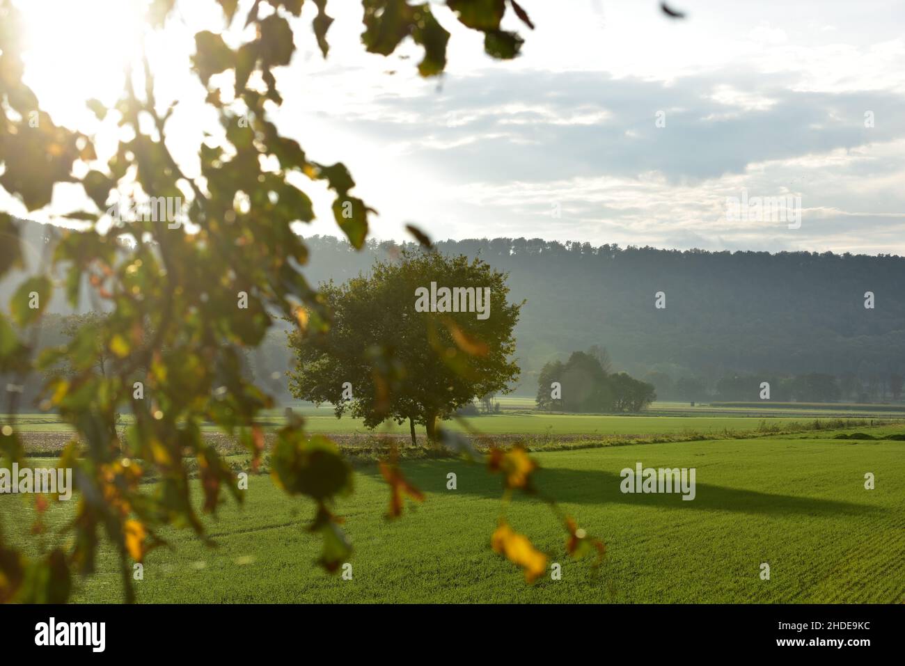Autumn in Deister ,Germany Stock Photo - Alamy