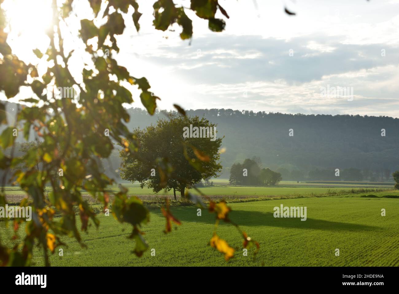 Autumn in Deister ,Germany Stock Photo - Alamy