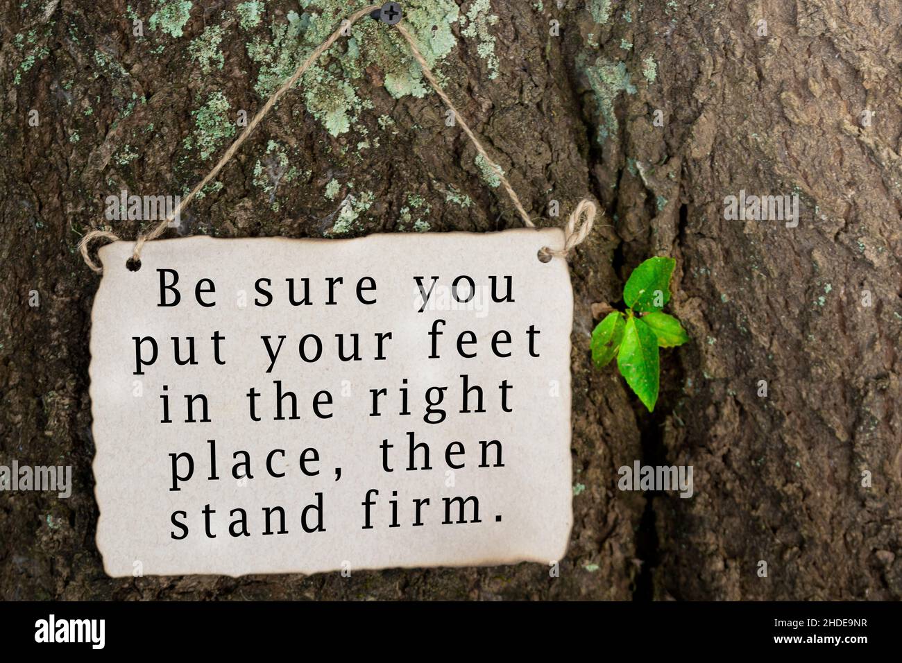 Inspirational and motivational quote on nature background. Be sure you ...